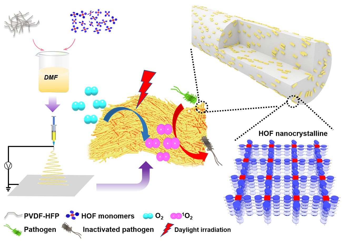 复旦李鹏课题组《Adv. Funct. Mater.》：通过静电纺丝原位嵌入氢键有机框架纳米晶体以获得超稳定的抗菌纳米纤维